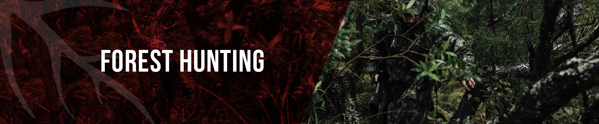 Forest Hunting | Stoney Creek Outdoors
